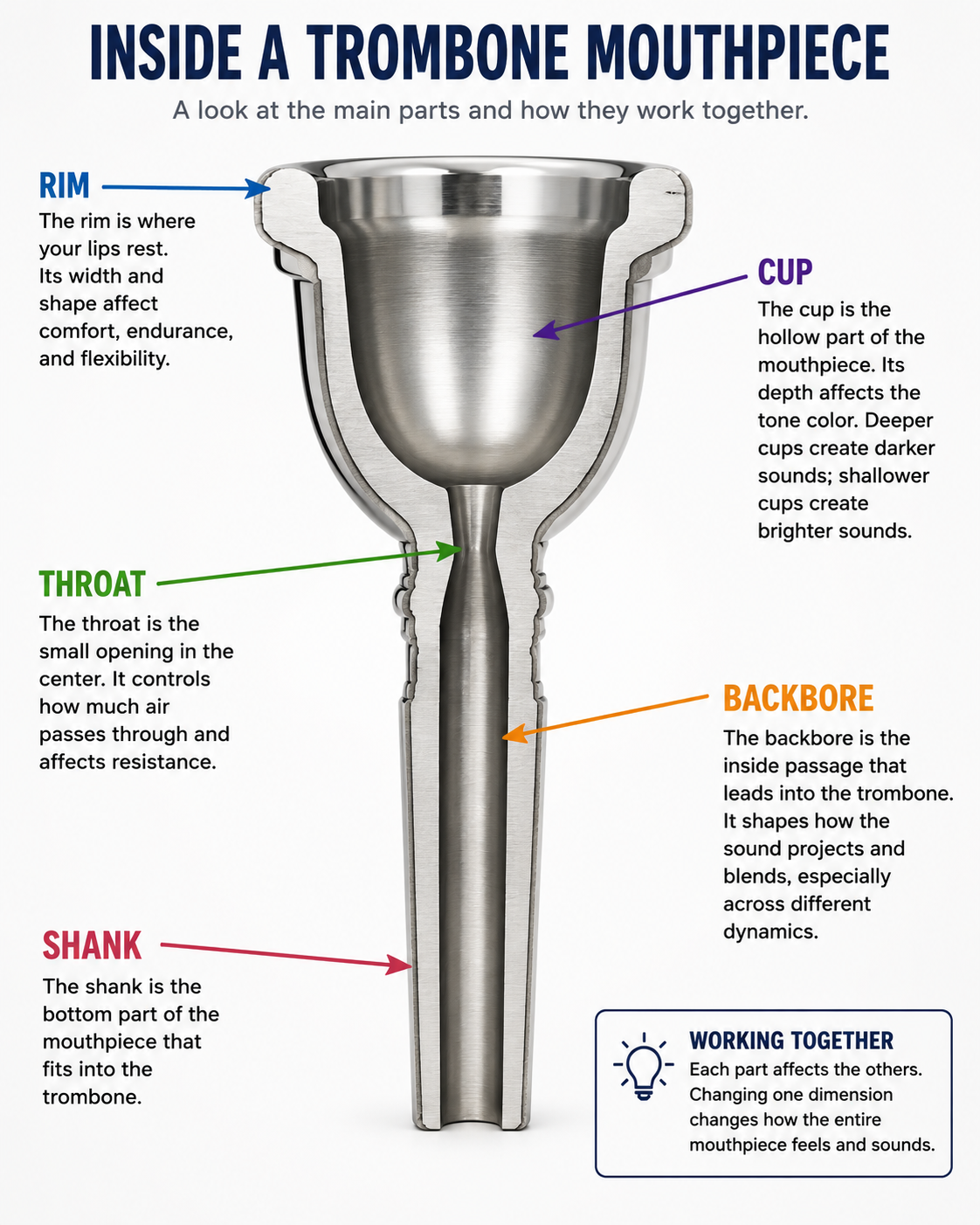 How to Start Playing the Trombone: A Beginner's Guide - The Trombone Mentor